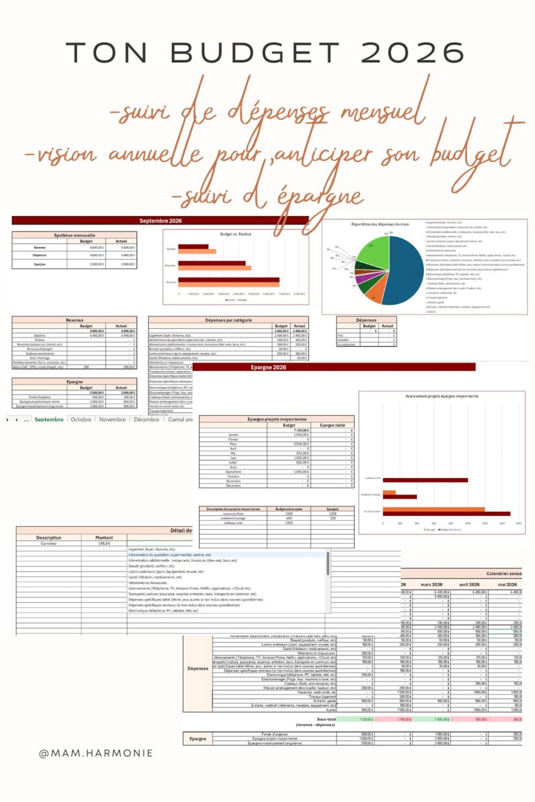 2026 Family Budget & Expense Tracker - Printable Monthly Budget / Excel ...