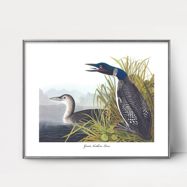 Loon Painting - Etsy