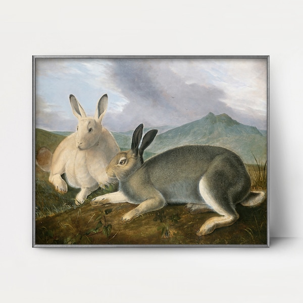 Antique Rabbit - Etsy