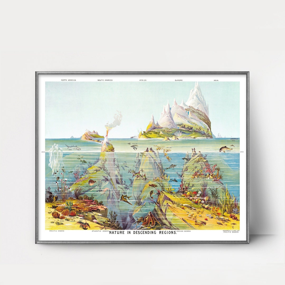 1880s Scientific Ocean Chart PRINTABLE Vintage Illustration - Etsy ...