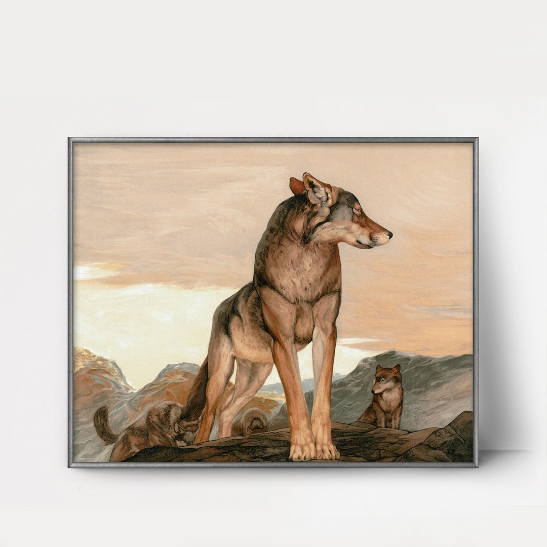 Lone Wolf Art Antique Wolf Painting 1890s Wolf Print - Etsy