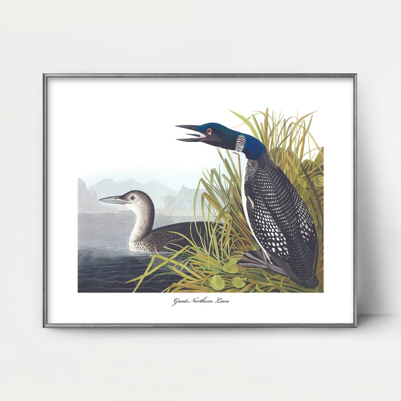 Loon Painting - Etsy