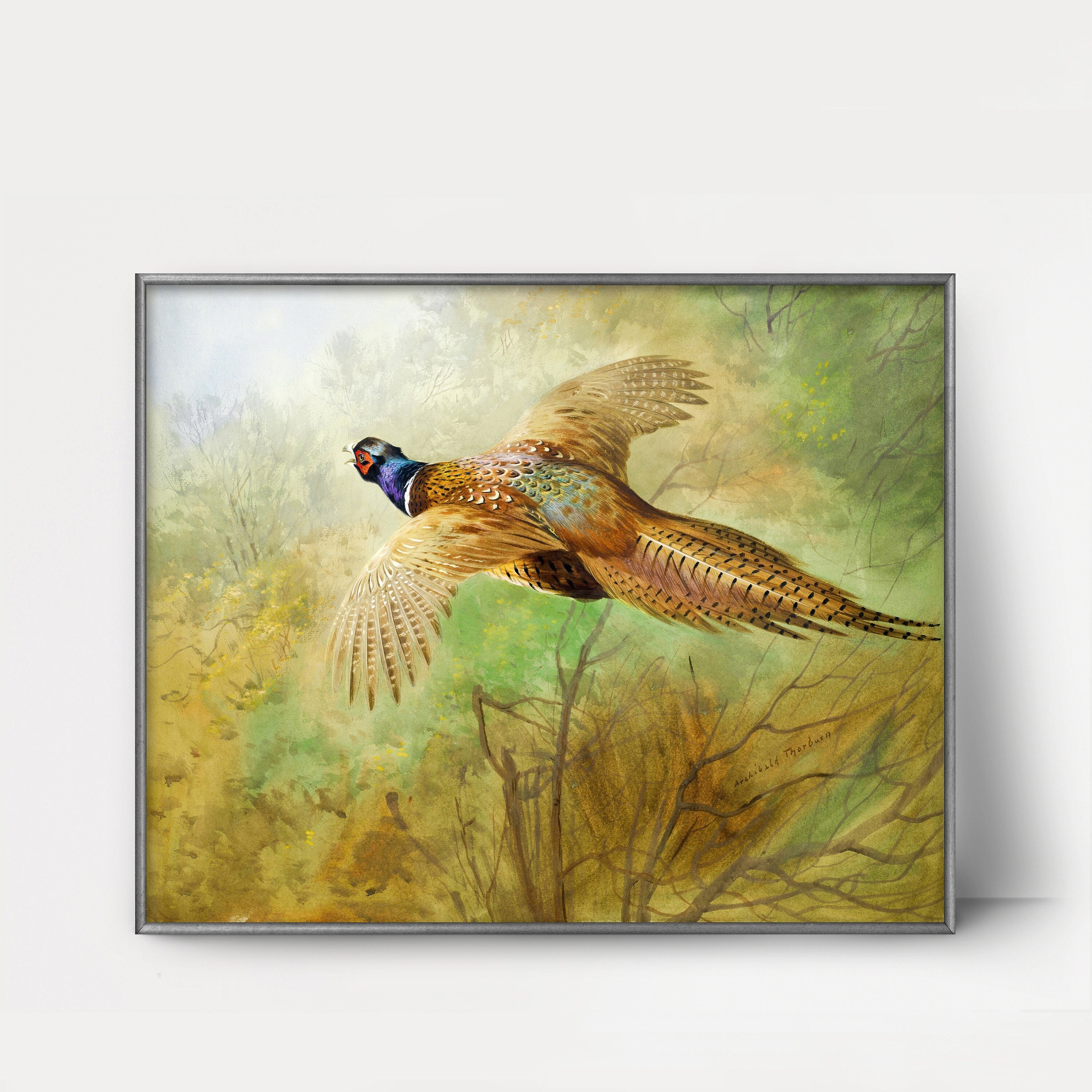Pheasant Flying Art