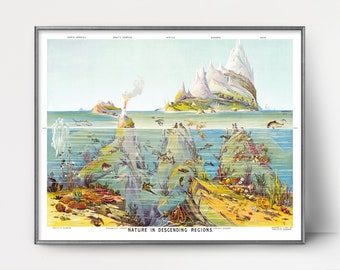 Ocean Educational Poster - Etsy