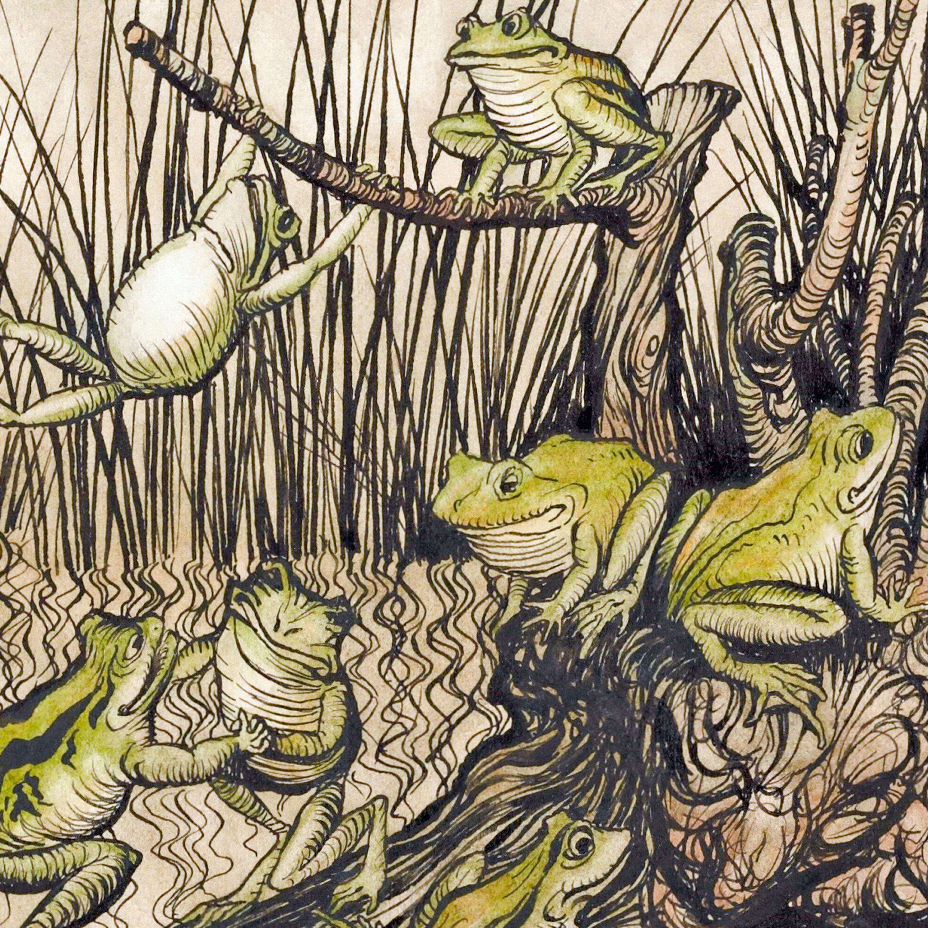 Download 1900s Frog Art Classic Arthur Rackham Print - Etsy Canada