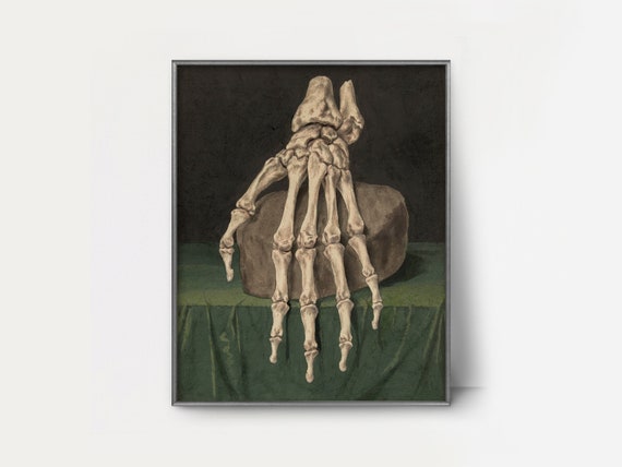 Hand Skeleton Anatomy Art