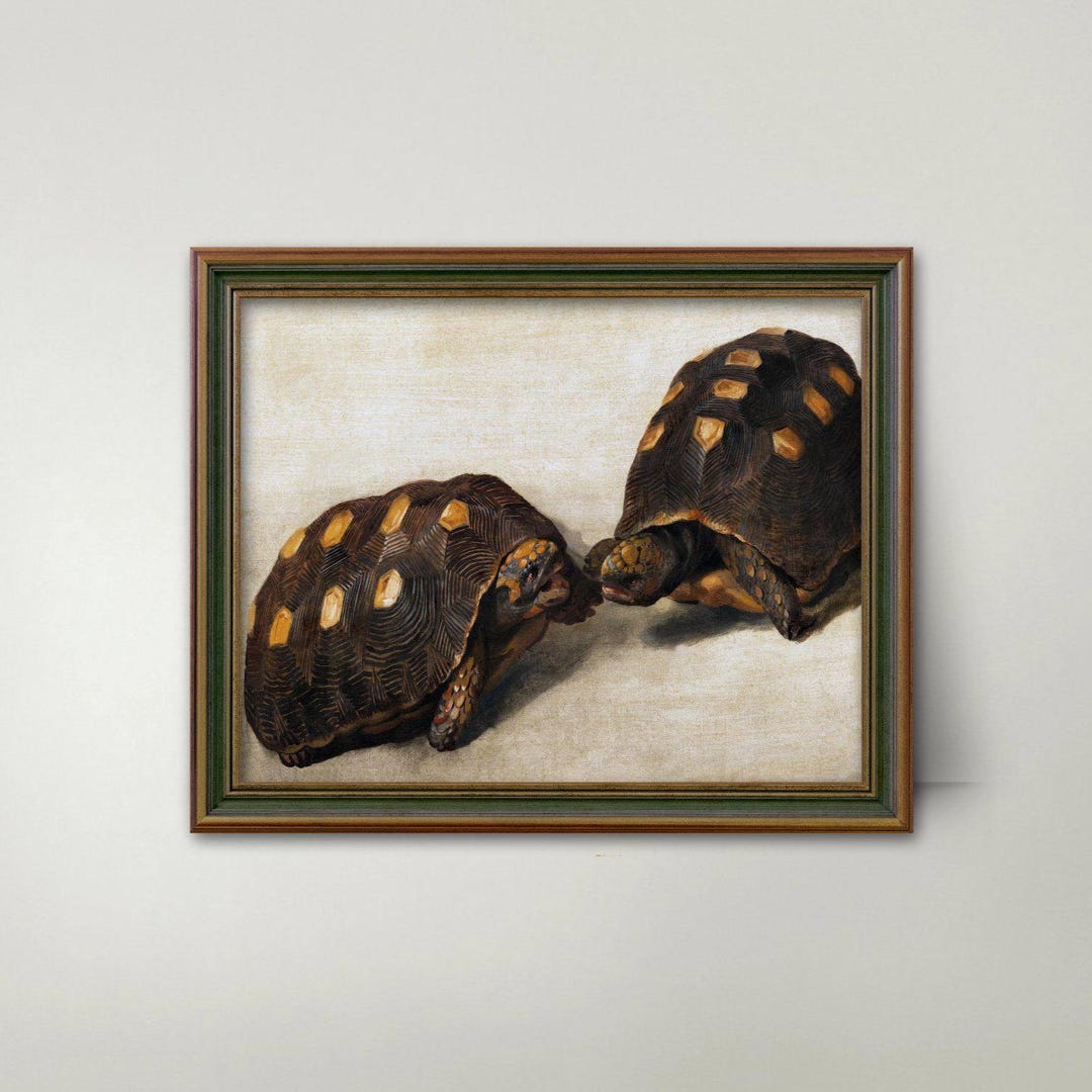 Antique Tortoise Print - Rustic Turtle Art Digital Download for ...
