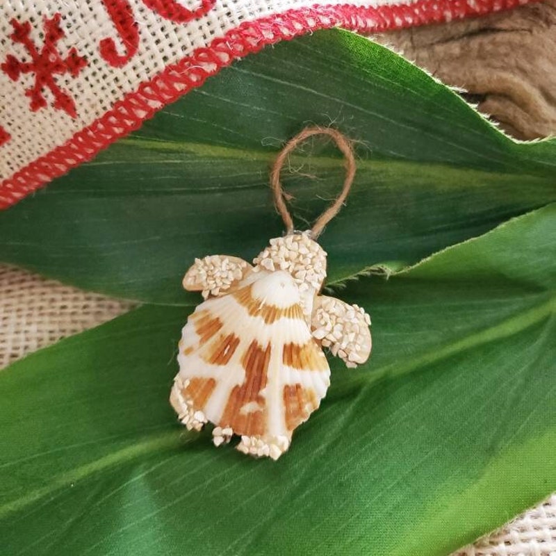 Seashell Turtle - Etsy