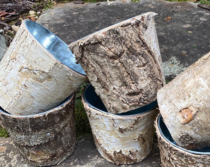 Birch Bark Vase Flower Pot Rustic Weddings READ Description - Etsy