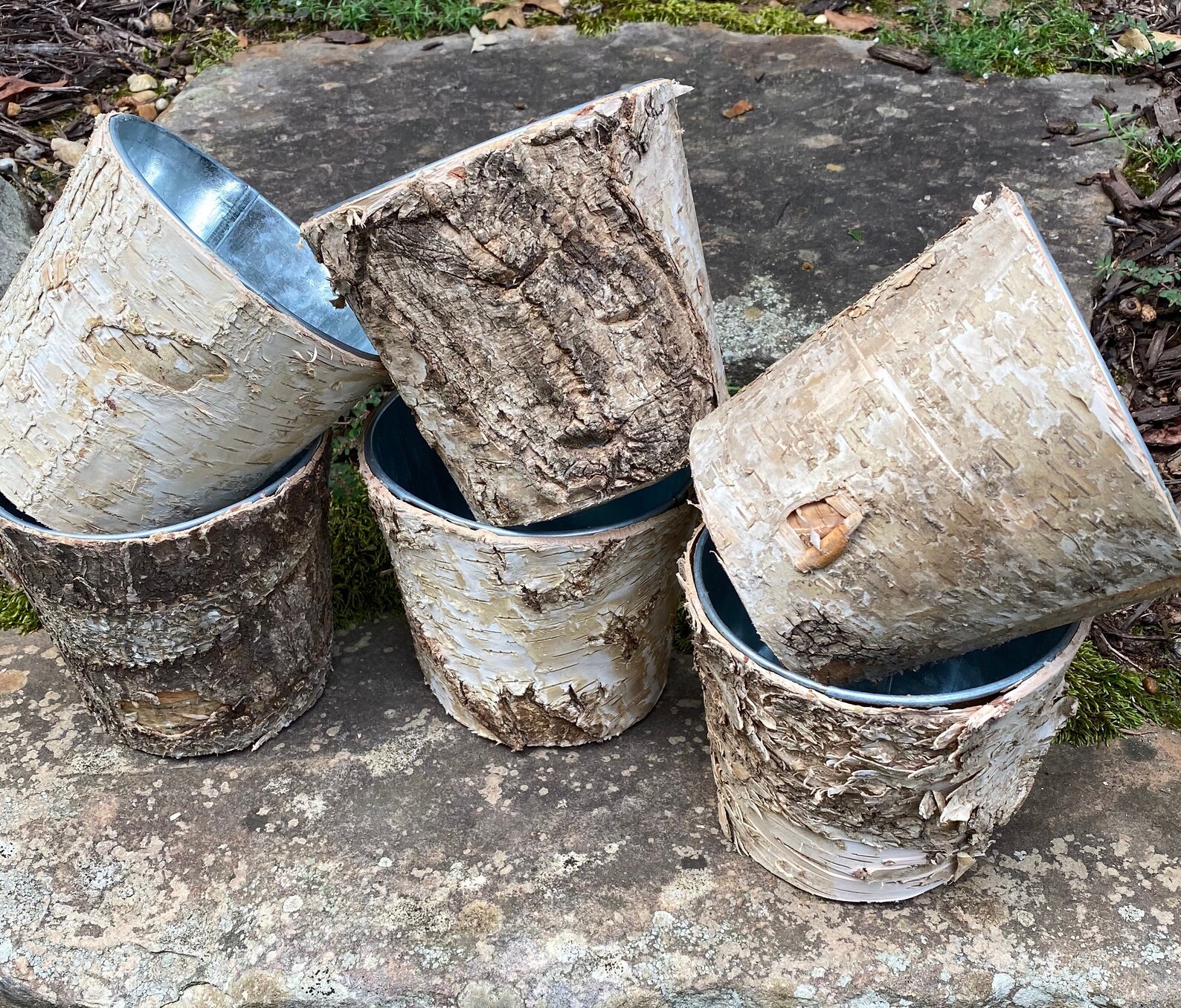 Birch Bark Vase Flower Pot Rustic Weddings READ Description - Etsy