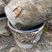 Birch Pot Vase Flower Pot Rustic Weddings READ Description Select ...
