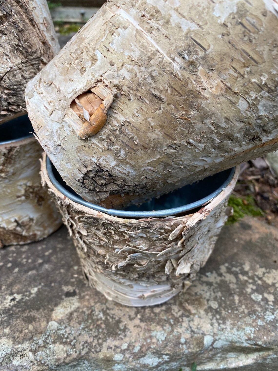 Birch Bark Vase Flower Pot Rustic Weddings READ Description - Etsy