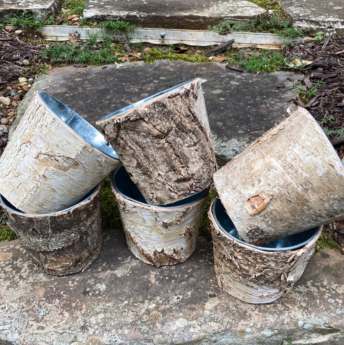 Birch Pot Vase Flower Pot Rustic Weddings READ Description Select ...