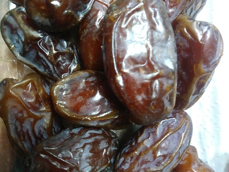 MEDJOOL DATE phoenix Dactylifera Palmfresh 10 Fresh Seeds | Etsy
