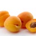 MOONGOLD APRICOT "moongold" Prunus Armeniaca,6 Hardwood Organic ...