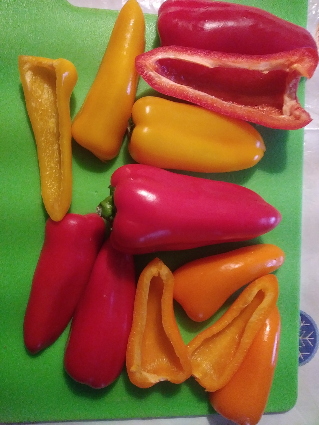 Rainbow Mix of Lunch Size MINI Sweet Pepper Heirloom 20 Organic Seeds ...
