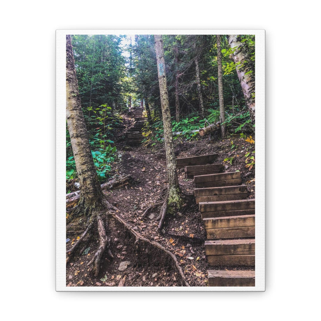 Devil Track Canyon Stairs Canvas Stretched - Etsy