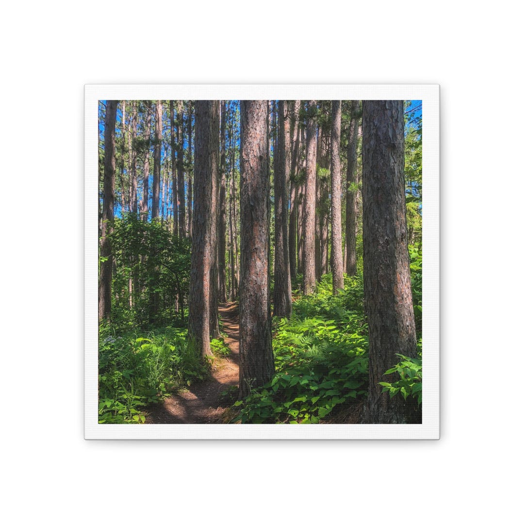 Duluth Lester Park Trees Canvas Stretched - Etsy