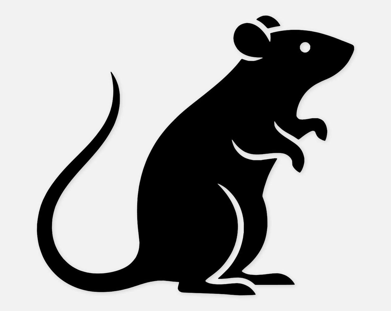 Curious Rat Svg: Minimalist Design for Cut Projects - Etsy