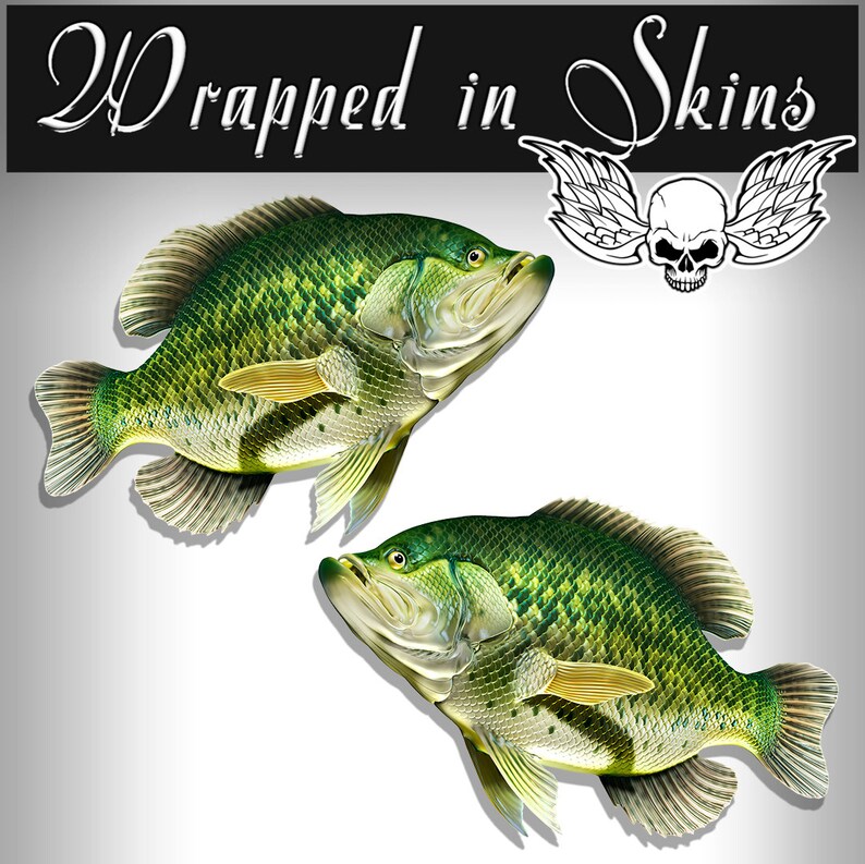 Crappie Decals Fishing Stickers Tackle Box RV Truck Camper - Etsy