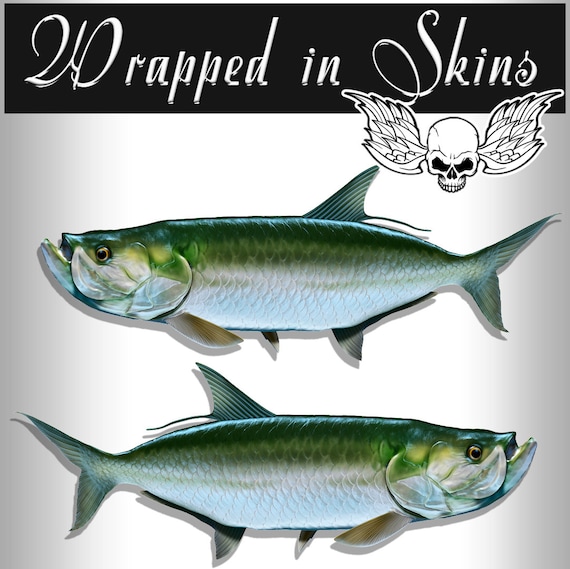 Tarpon Decals Fishing Stickers Tackle Box RV Truck Camper - Etsy