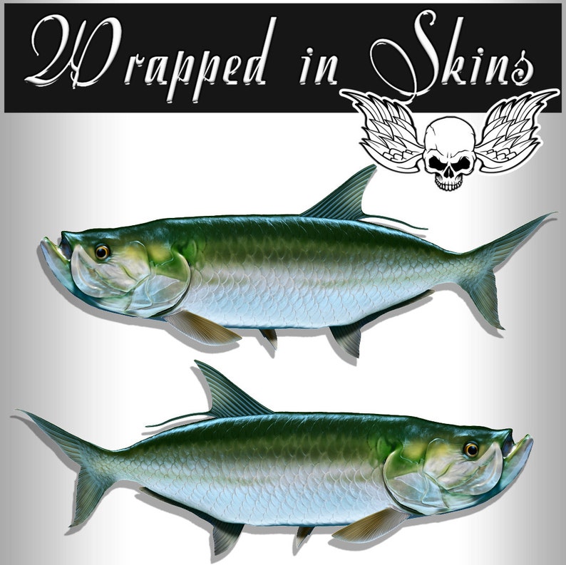 Tarpon Fish Decals Fishing Stickers Tackle Box RV Truck Camper Trailer ...