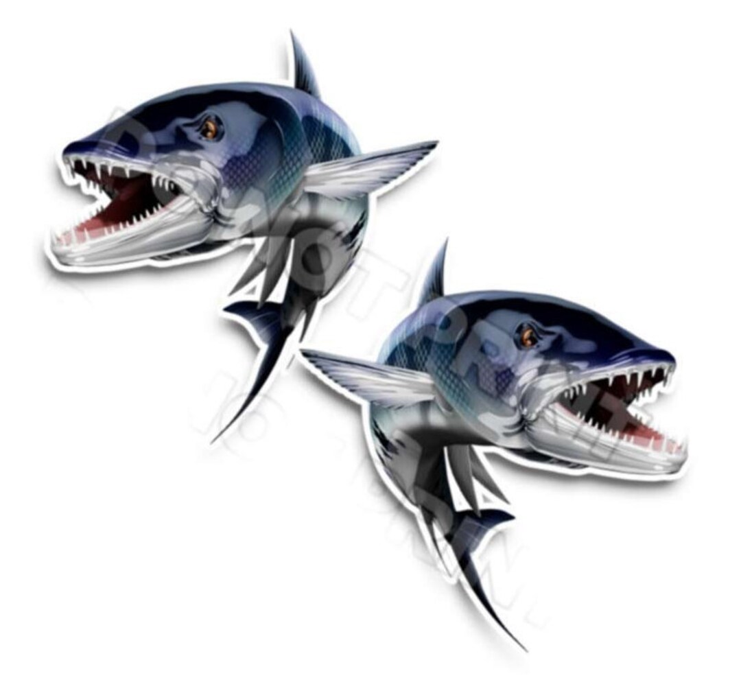 24" Barracuda Fishing RV Decals - Boat Graphics - Set of 2 Mirrored ...