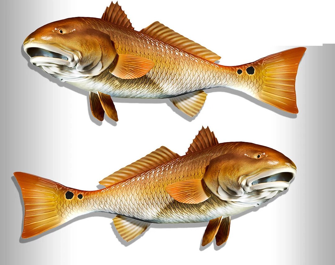 Redfish Decals Fishing Stickers for Tackle Box RV Truck Camper Trailer ...