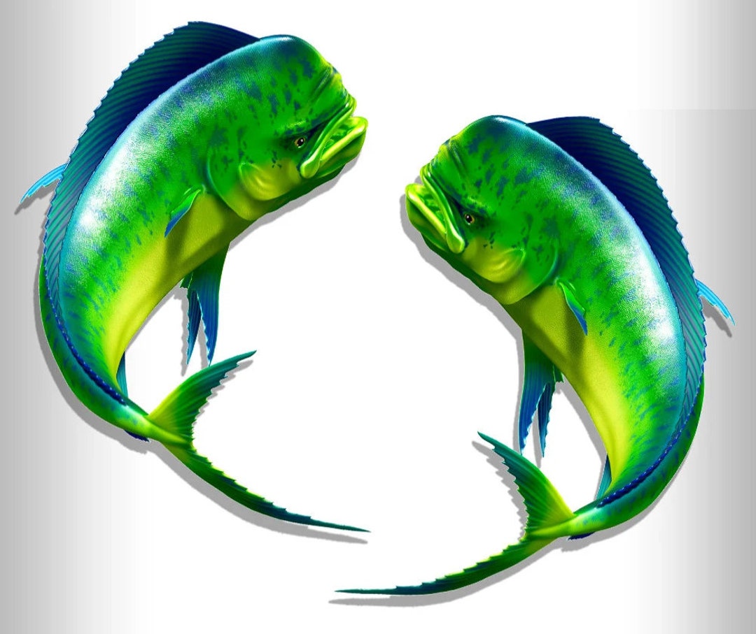 Mahi-mahi Dolphinfish Decals Fishing Dorado Stickers for Tackle Box RV ...
