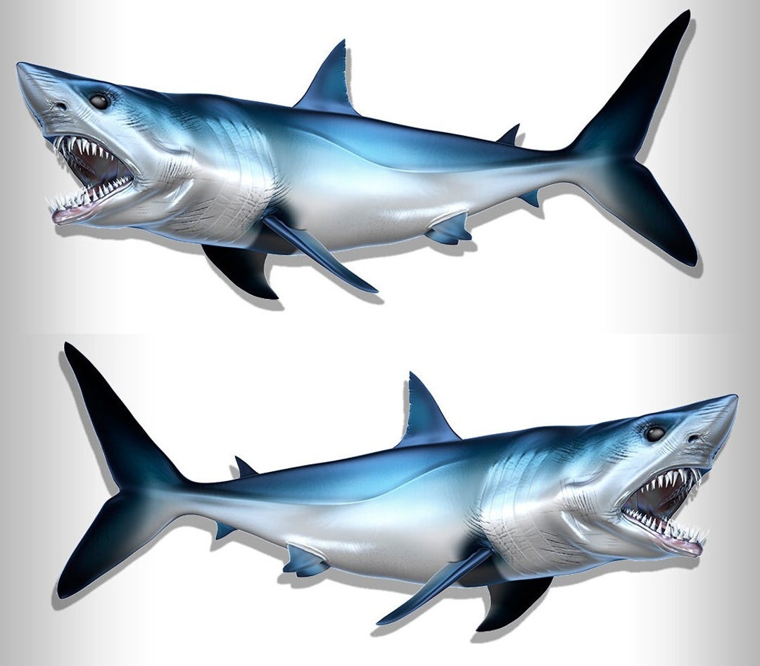 24" Mako Shark RV Decals - Boat Graphics - Set of 2 Mirrored Vinyl ...