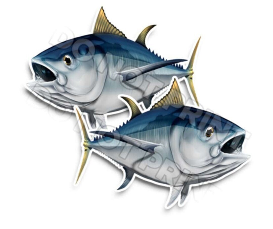 24" Albacore Tuna Fishing RV Decals - Boat Graphics - Set of 2 Mirrored ...