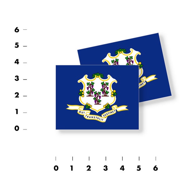 Connecticut State Flag - Etsy
