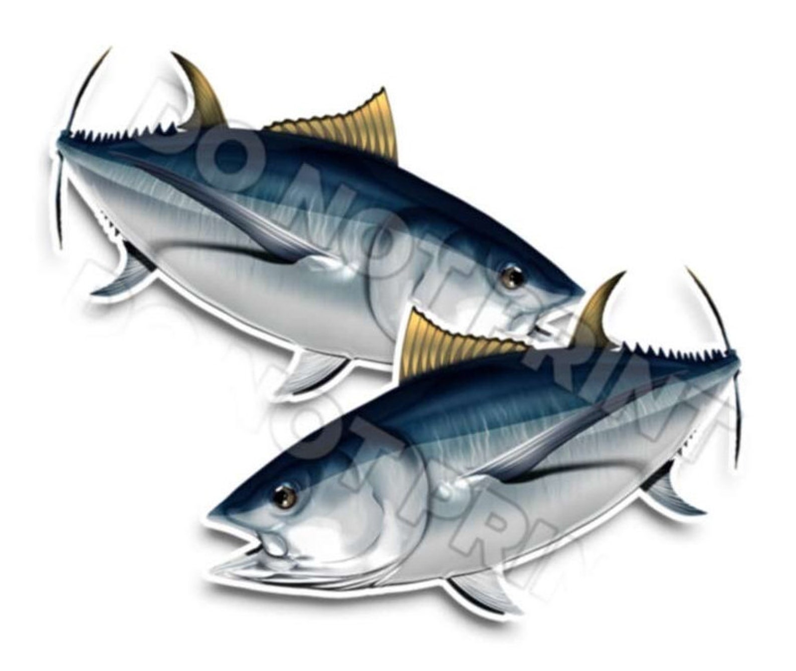 24" Albacore Tuna Fishing RV Decals - Boat Graphics - Set of 2 Mirrored ...
