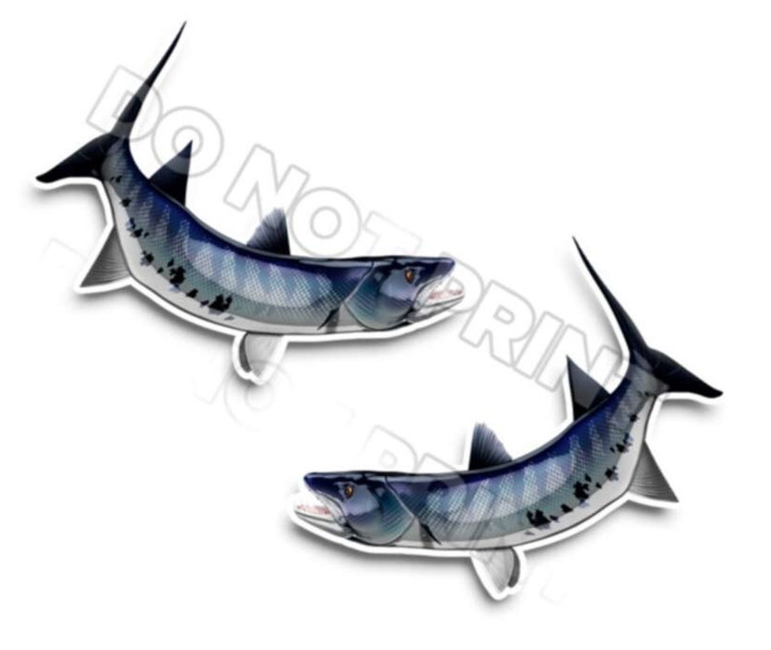 24" Barracuda Fishing RV Decals - Boat Graphics - Set of 2 Mirrored ...