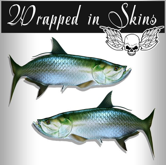 Tarpon Decals Fishing Stickers Tackle Box RV Truck Camper - Etsy