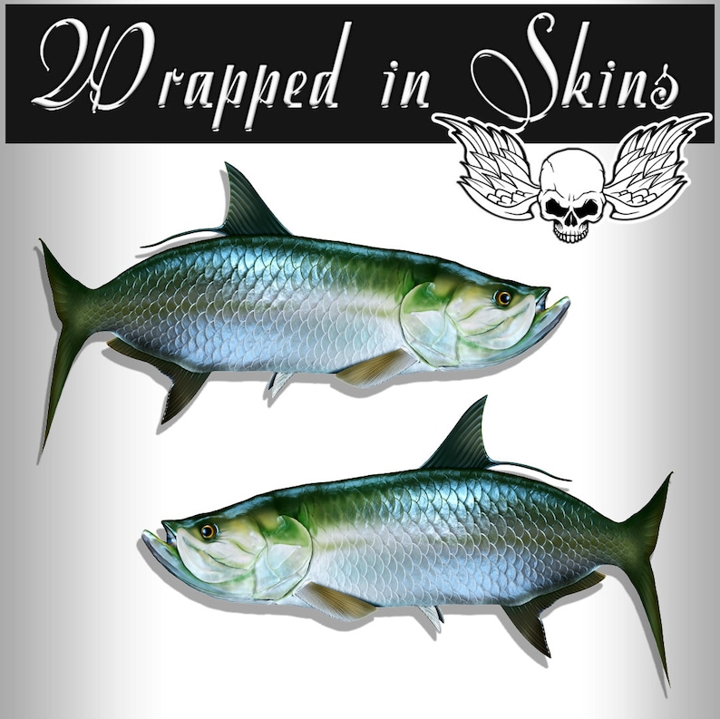 Tarpon Decals Fishing Stickers Tackle Box RV Truck Camper - Etsy