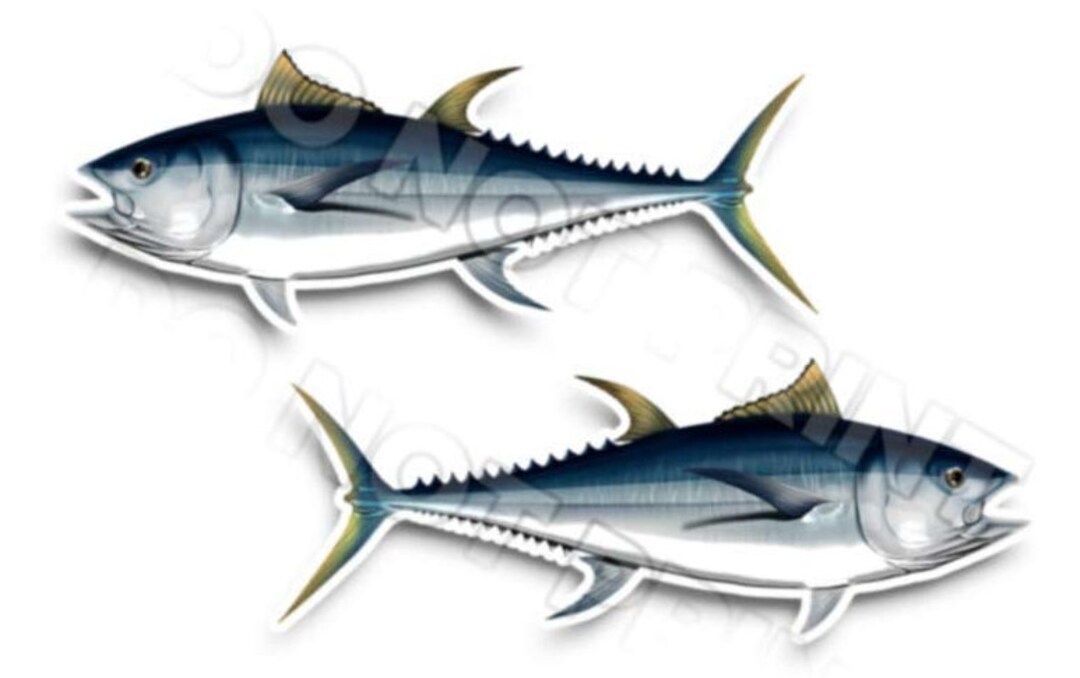 Albacore Tuna Decals Fishing Stickers Tackle Box RV Truck Camper ...