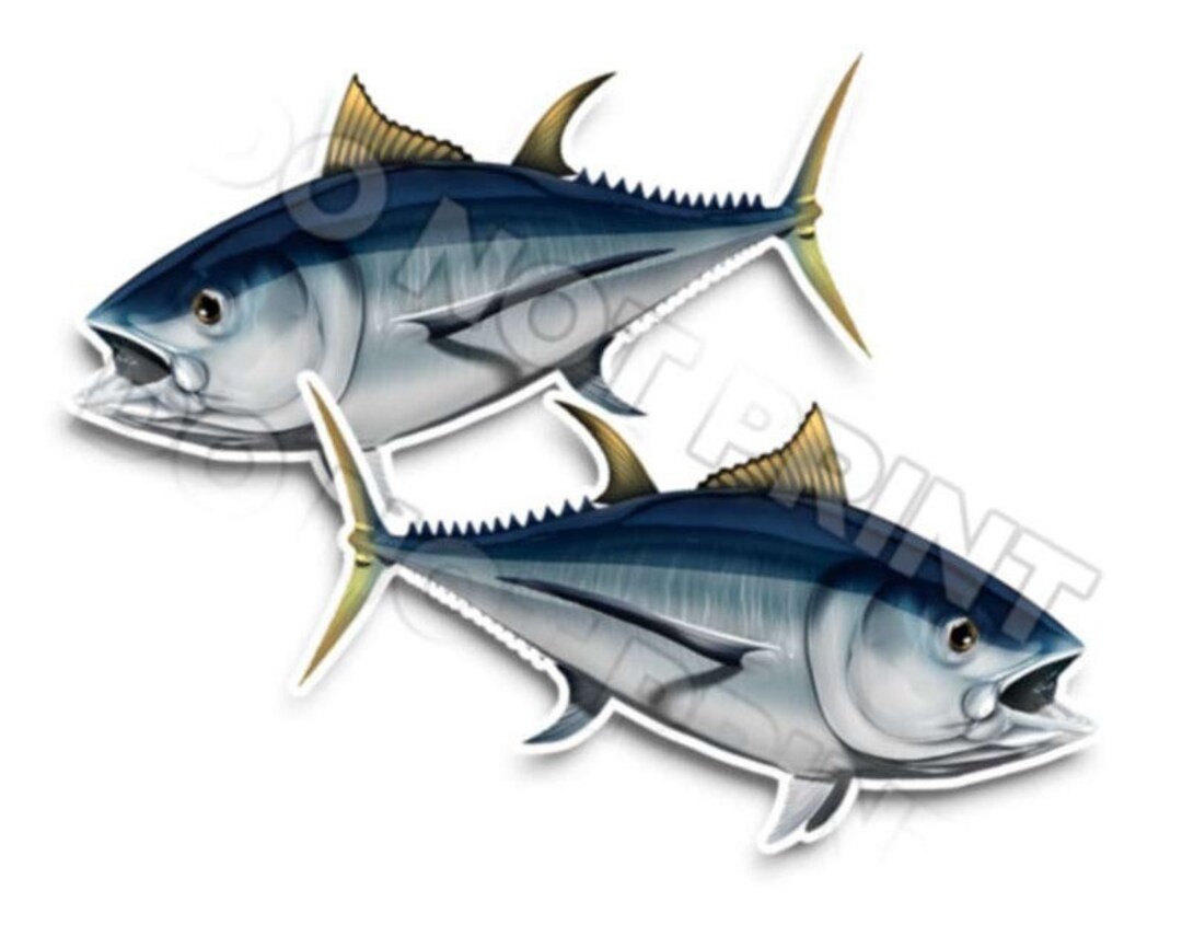 Albacore Tuna Decals Fishing Stickers Tackle Box RV Truck Camper ...