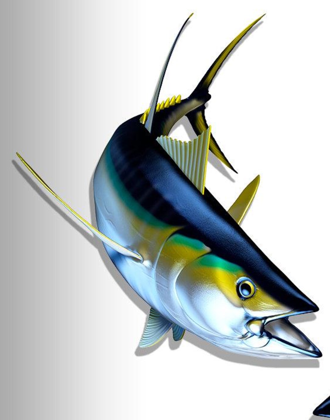 16" Yellowfin Tuna Fish RV Decal - Right Facing - Boat Graphics ...