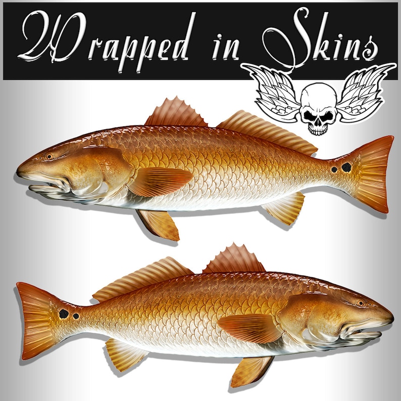 Redfish Decals Fish Stickers Tackle Box Fishing RV Decals AFP-0052 - Etsy