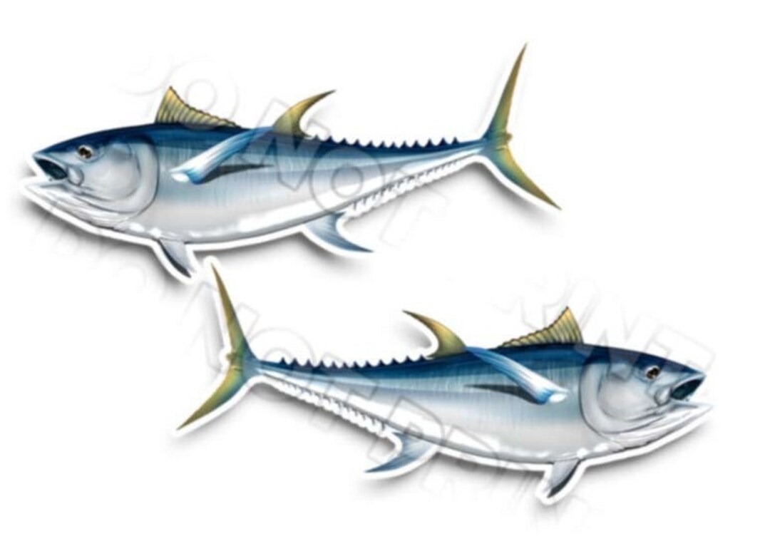 Albacore Tuna Decals Fishing Stickers Tackle Box RV Truck Camper ...
