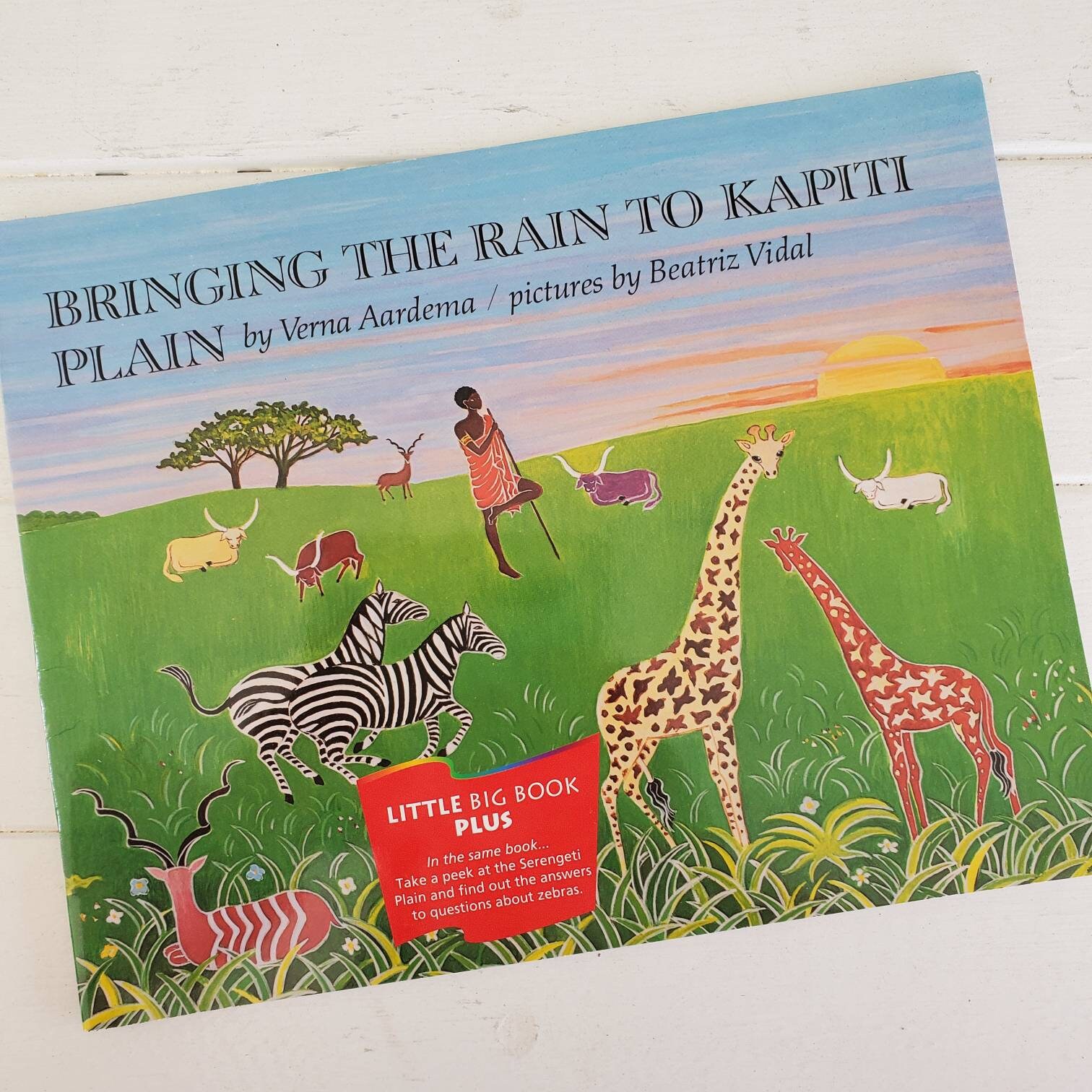 Bringing the Rain to Kapiti Plain, Verna Aardema Set 23 Copies for ...