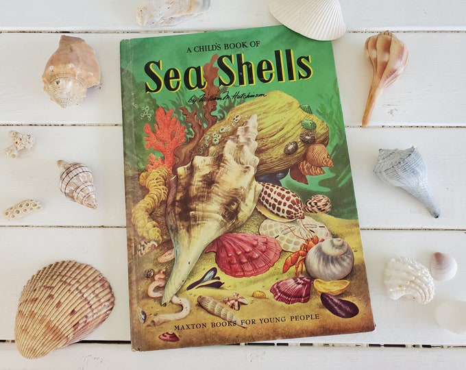 A Child's Book of Seashells 1954 Vintage Maxton Book for Young People ...