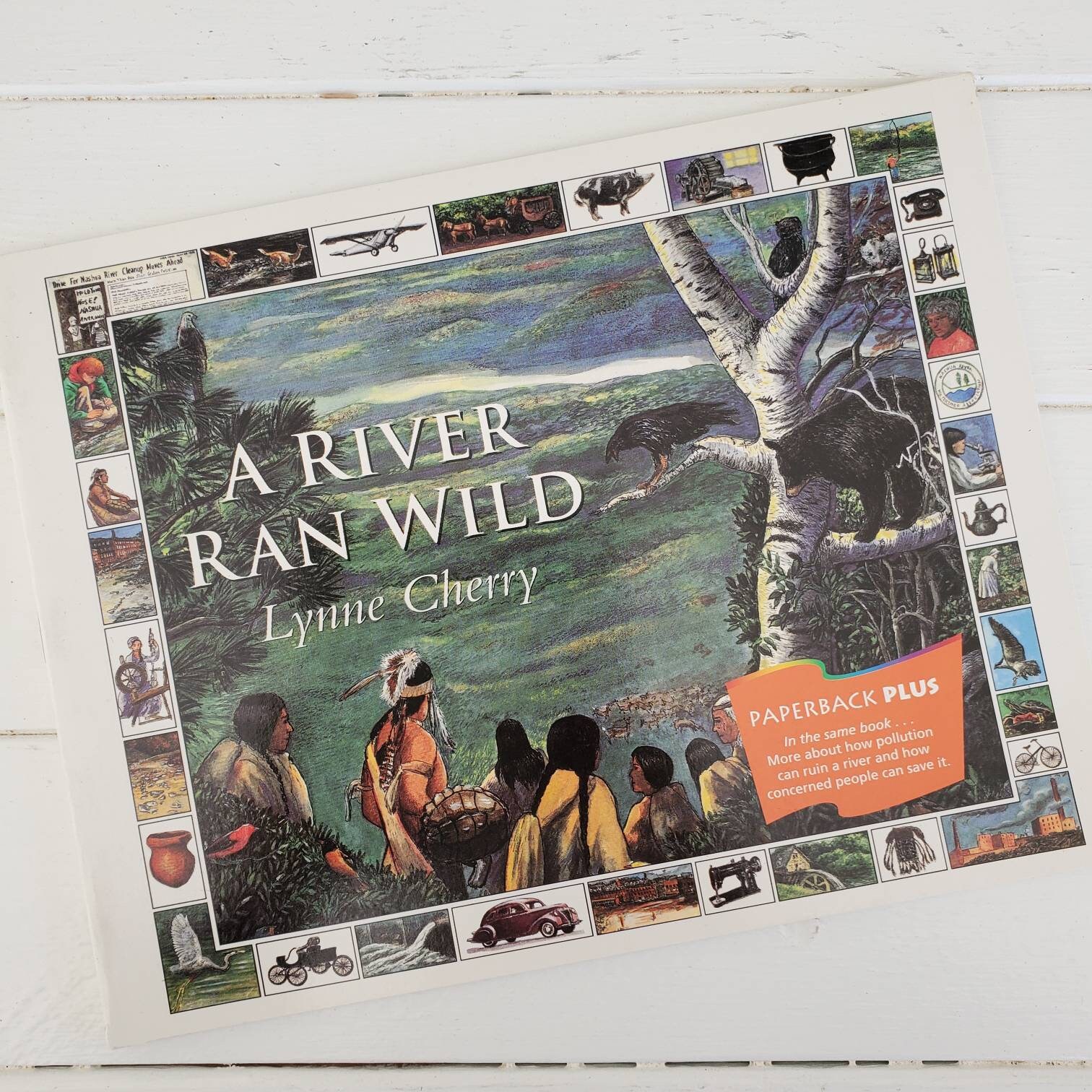 A River Ran Wild Lynne Cherry Set 13 Copies Teacher Class - Etsy