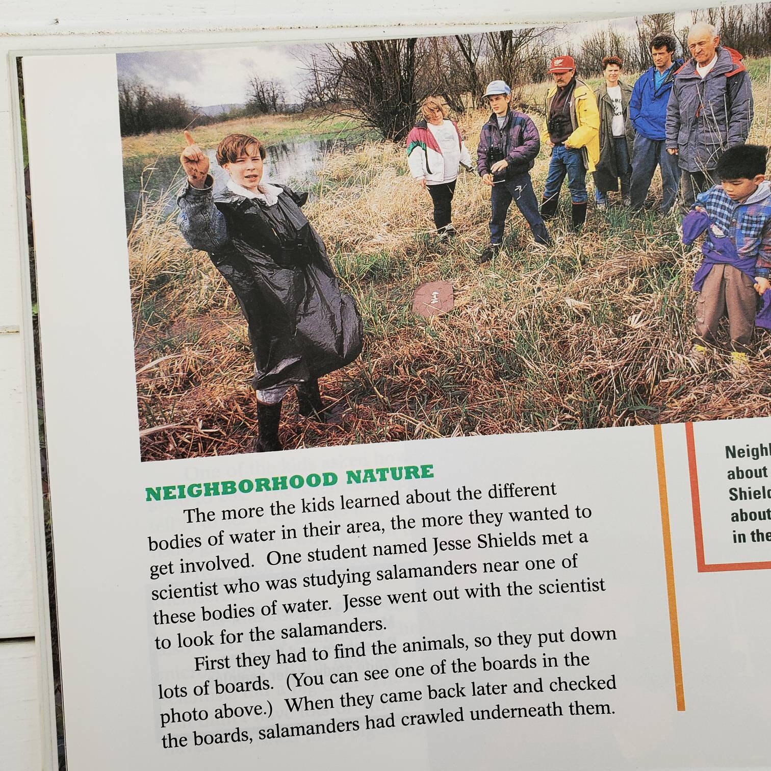 A River Ran Wild Lynne Cherry Set 13 Copies Teacher Class - Etsy