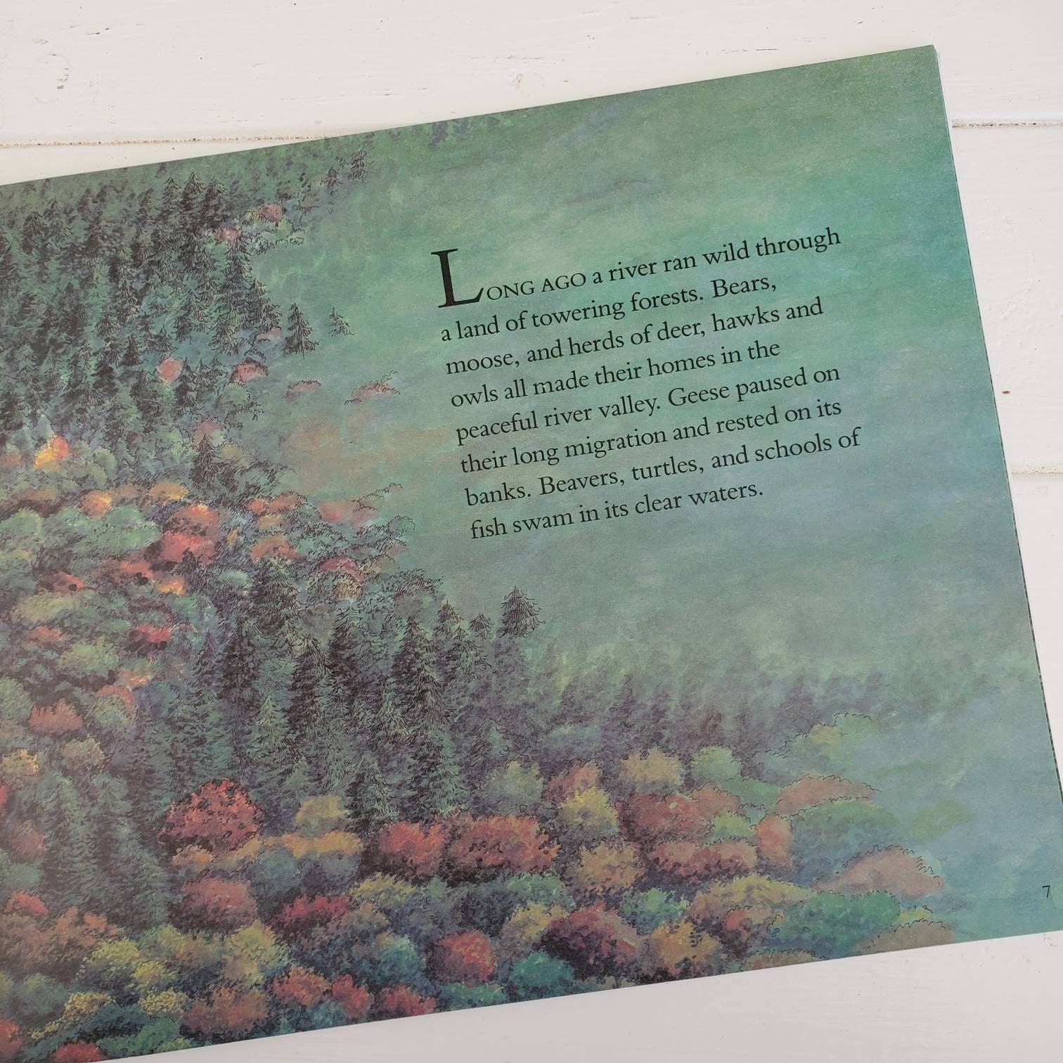 A River Ran Wild Lynne Cherry Set 13 Copies Teacher Class - Etsy