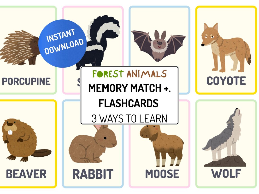 Forest Animal Flashcards & Memory Match Game for Kids | Woodland ...