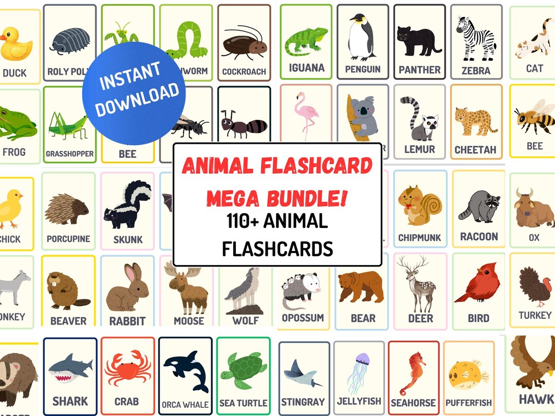 Animal Flashcards Mega Bundle for Toddlers & Preschoolers | 116 ...