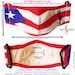 Puerto Rico Flag Face Mask W/ Interior Filter Pocket | Reusable Cotton ...