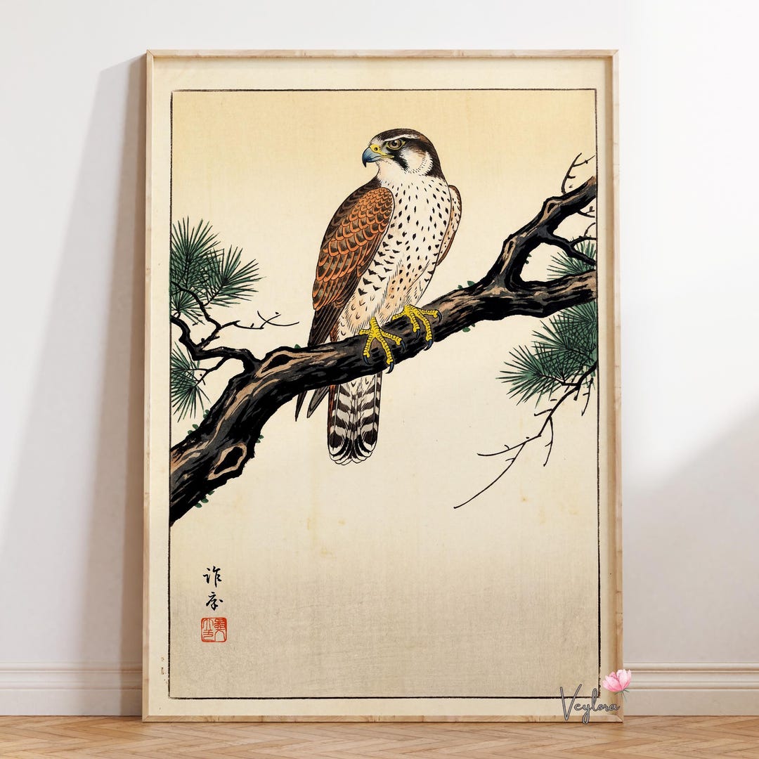 Japanese Falcon Poster | Vintage Bird Print | Wildlife Wall Art | Pine ...